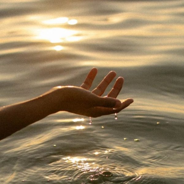 Our Approach – SOL Wellness